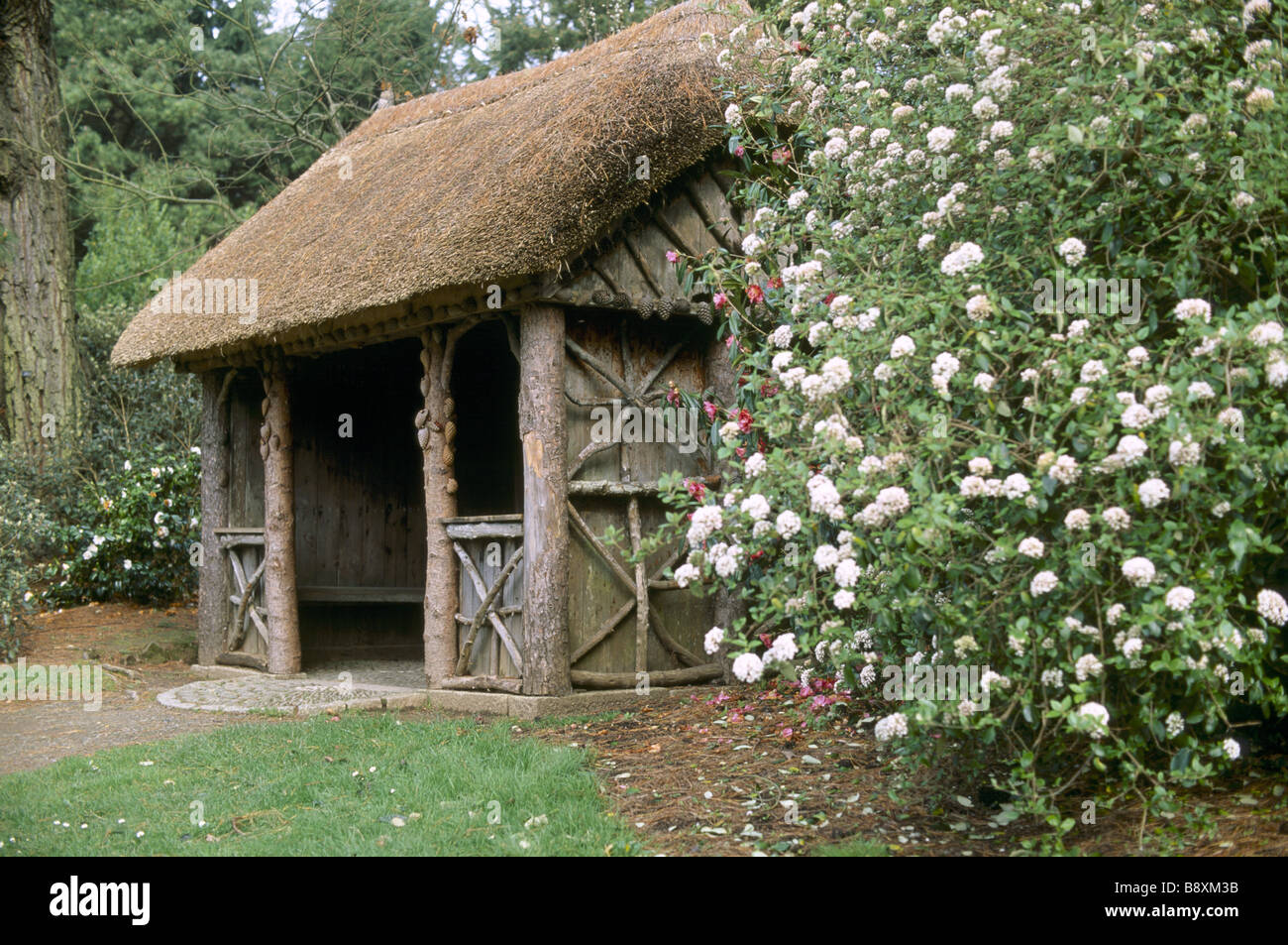 The thatched rustic summer house at Trelissick Garden framed by ...