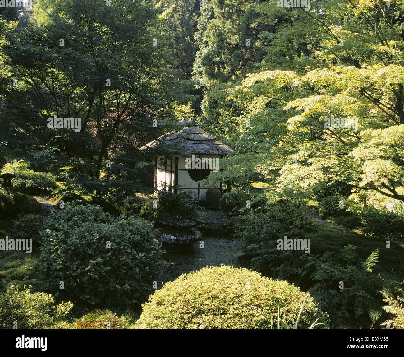 Garden tea tatton park hi-res stock photography and images - Alamy