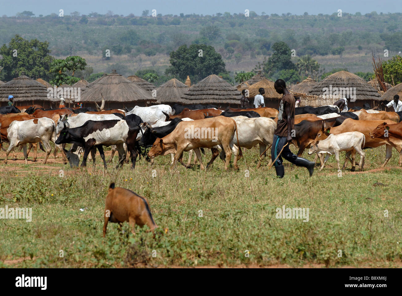 People doing field works Stock Photo - Alamy