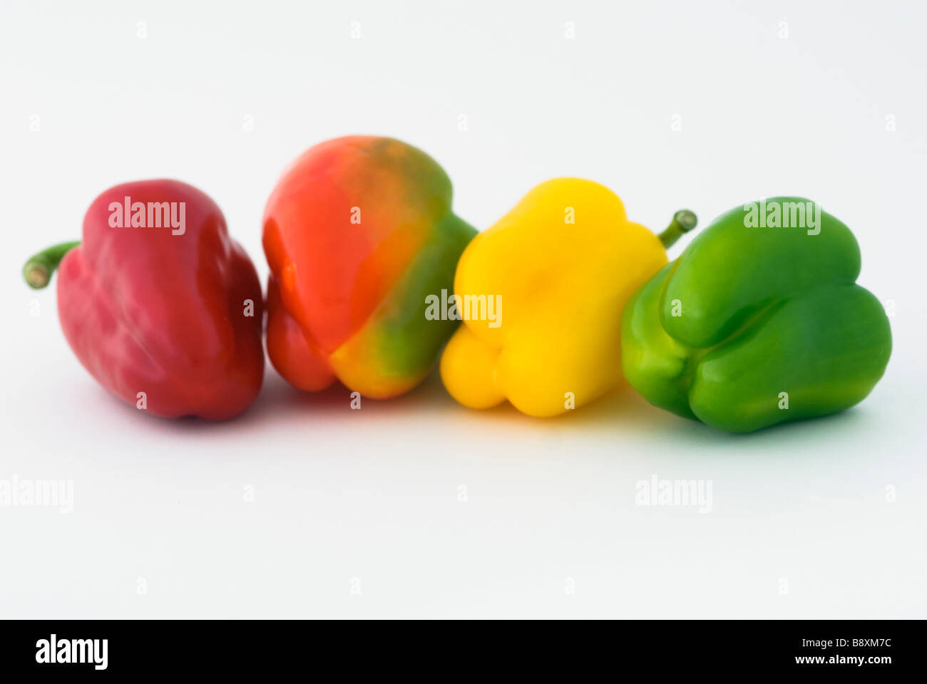 CAPSICUM ANNUUM BELL PEPPER Stock Photo - Alamy