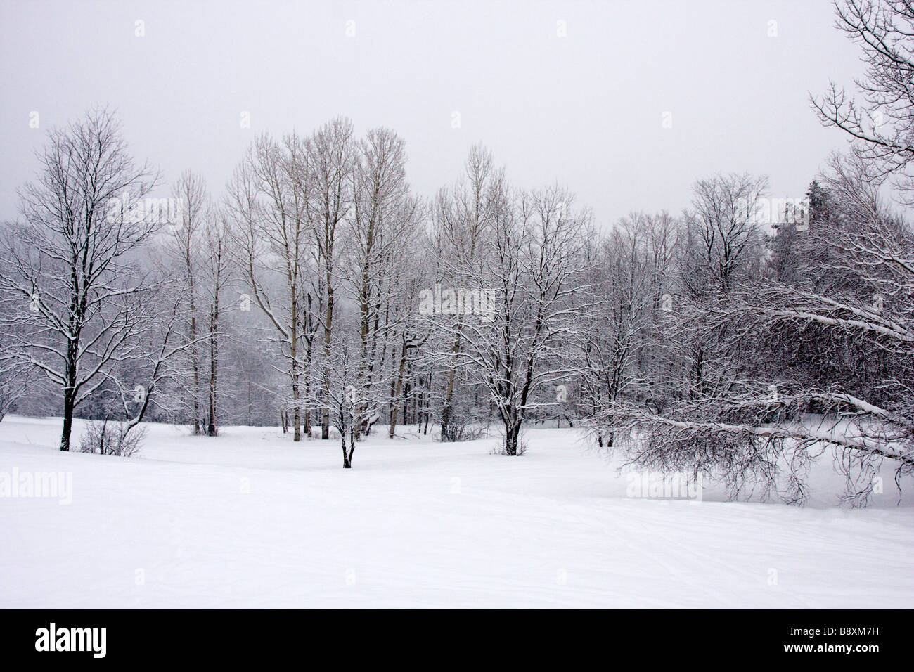 Vermont field in snow hi-res stock photography and images - Alamy