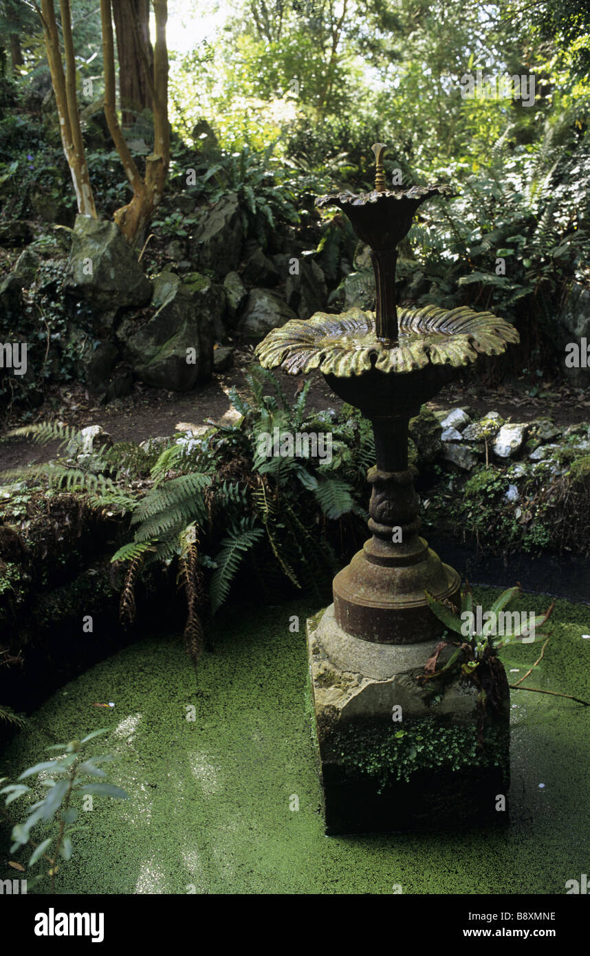 Victorian fernery hi-res stock photography and images - Alamy