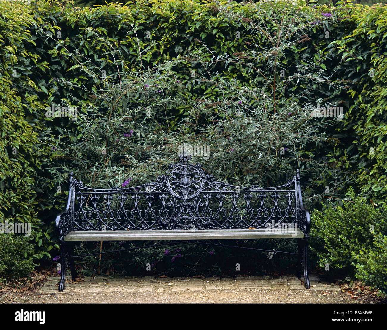 Ornate wrought iron bench in gardens at Ickworth surrounded by a frame ...