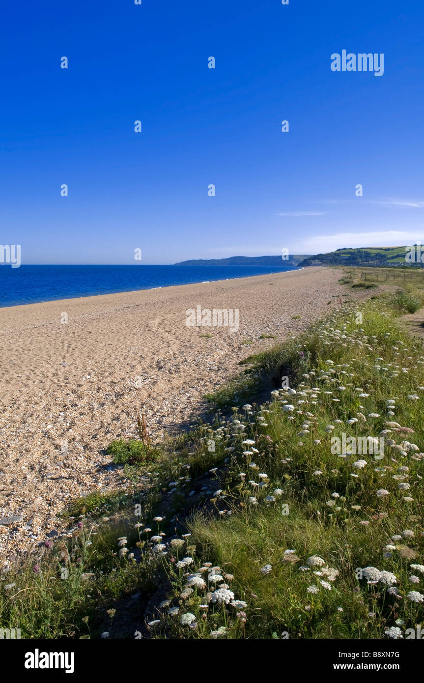 sand spit at slapton the south hams devon on the south west coast path ...