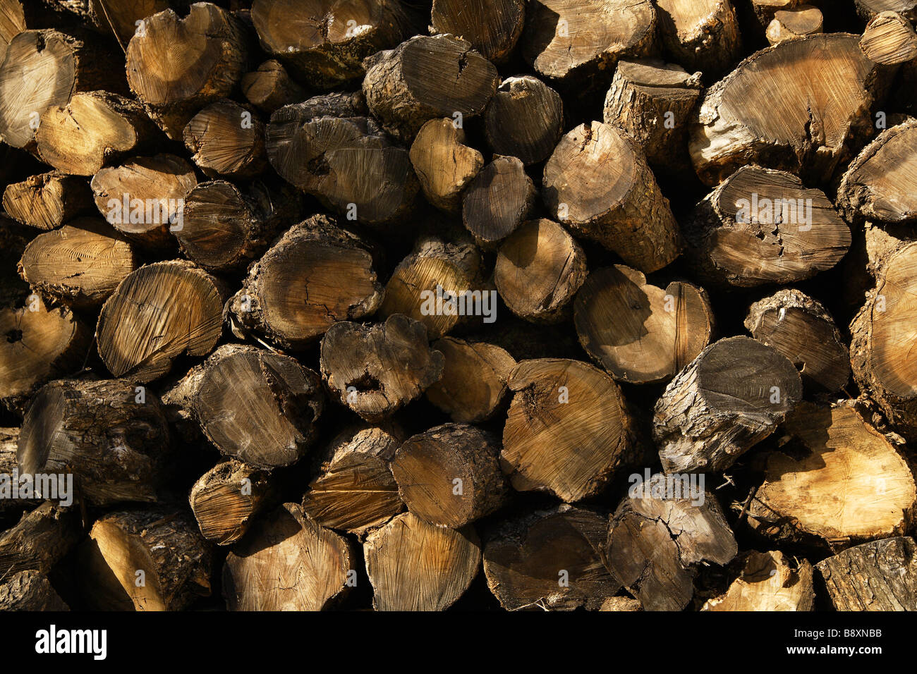Stack of logs Stock Photo - Alamy