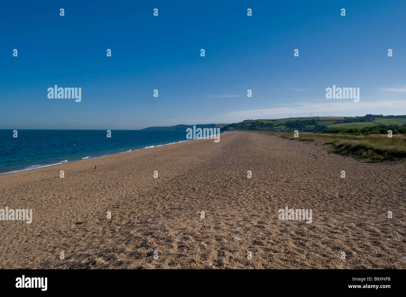 sand spit at slapton the south hams devon on the south west coast path ...