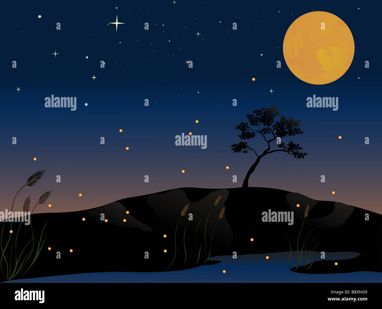Fireflies and stars hi-res stock photography and images - Alamy