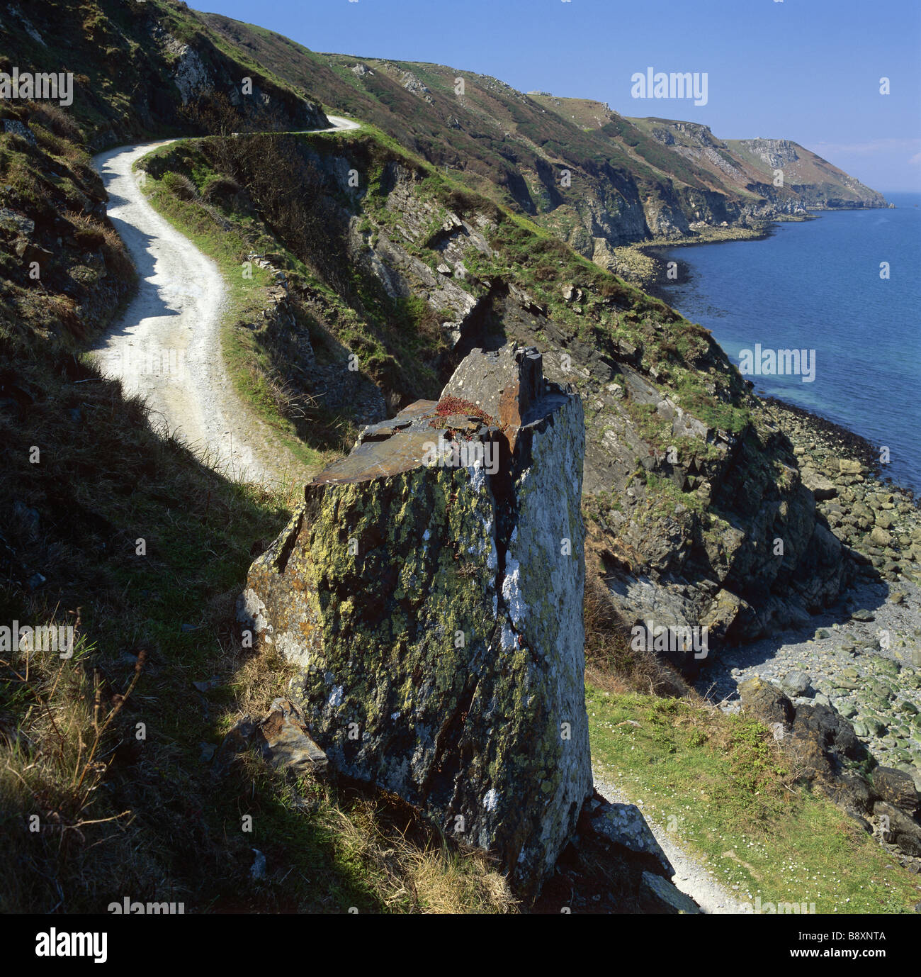 Lundy Island. East Sidelands, the `main road' leading from the landing ...