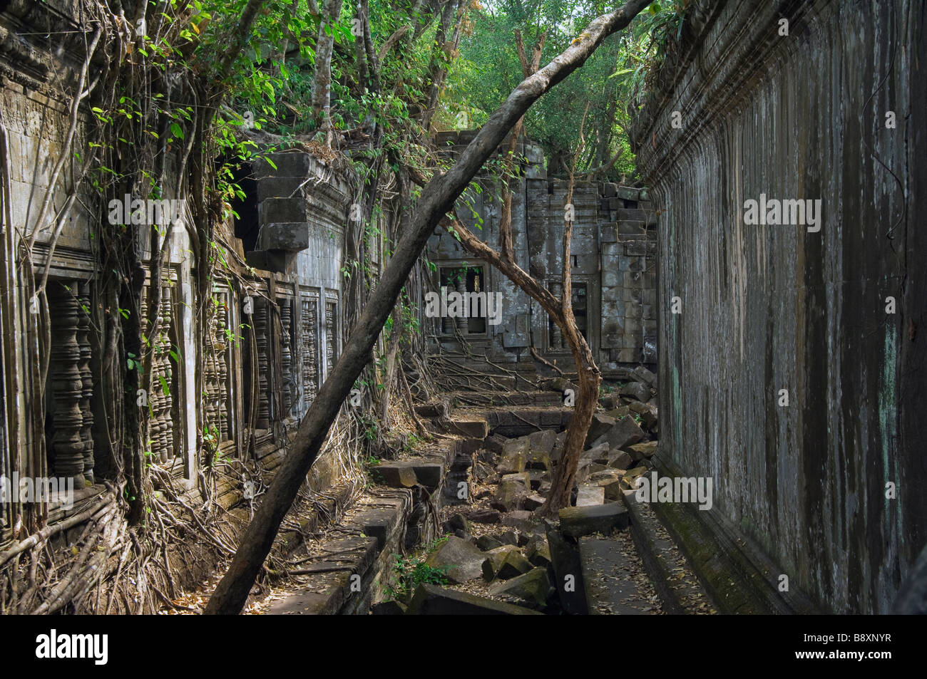 Beng Mealea temple Angkor Stock Photo - Alamy