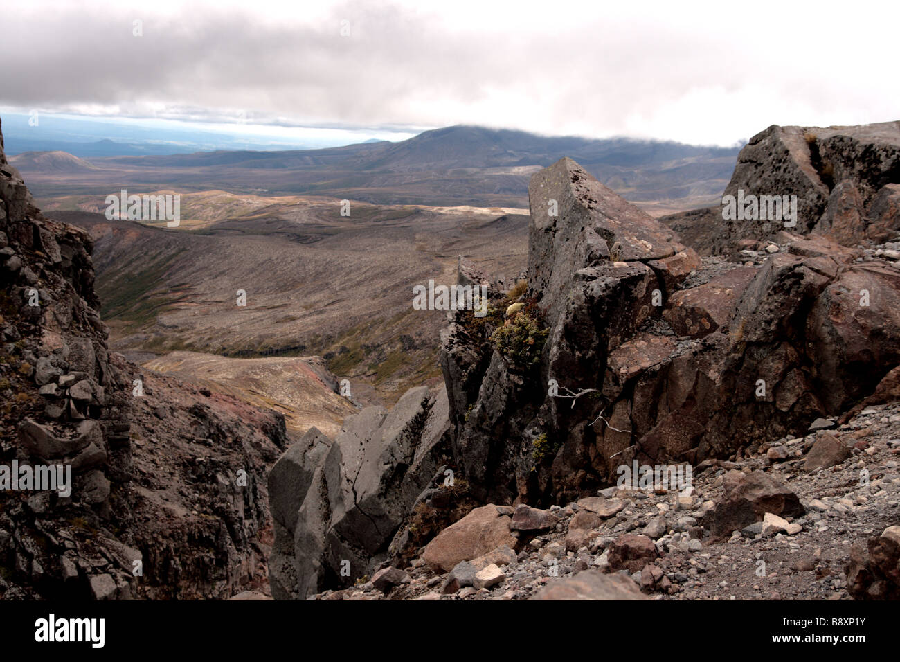 Maori tourist guide hi-res stock photography and images - Alamy