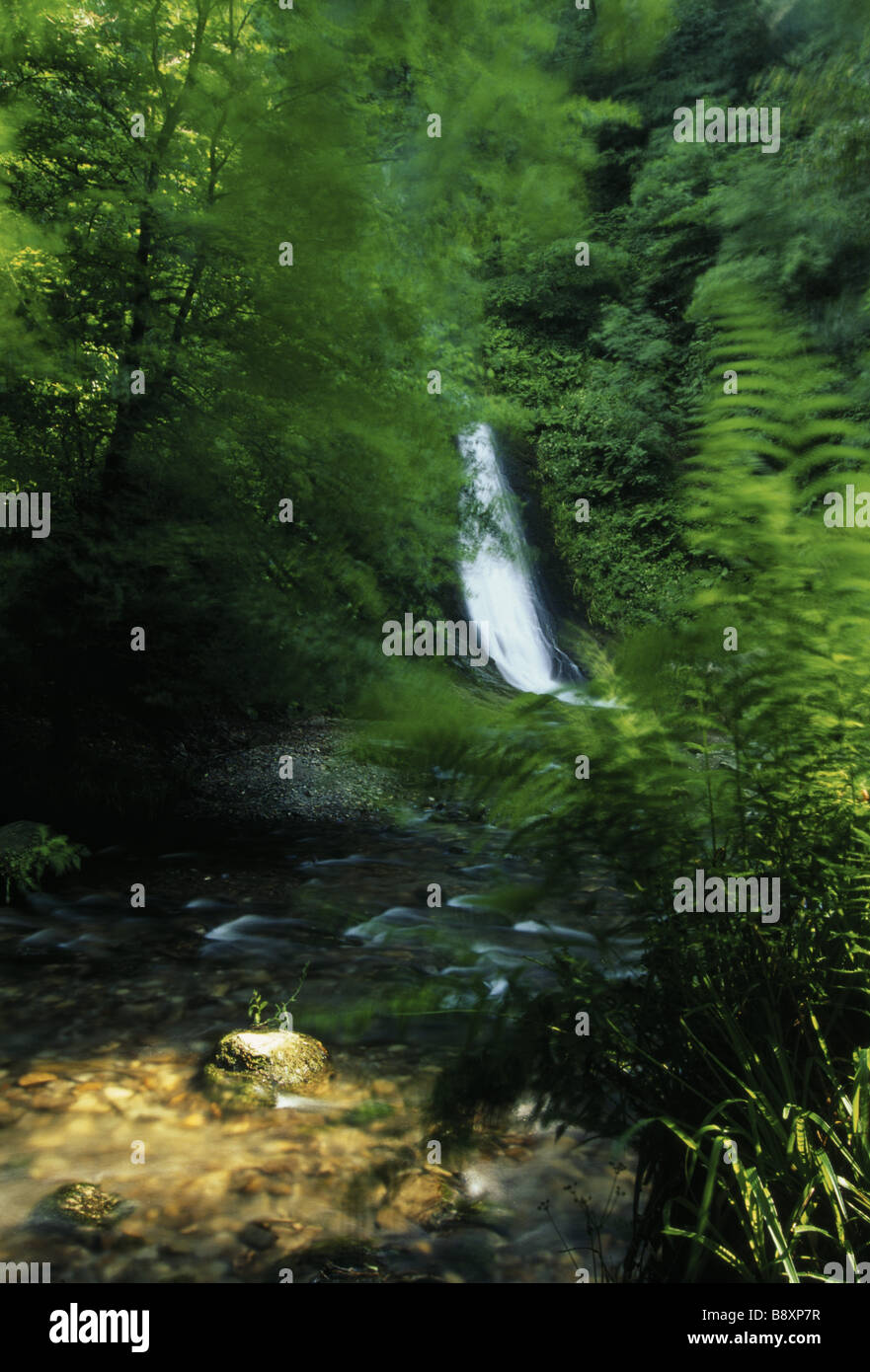 Motion picture techniques hi-res stock photography and images - Alamy