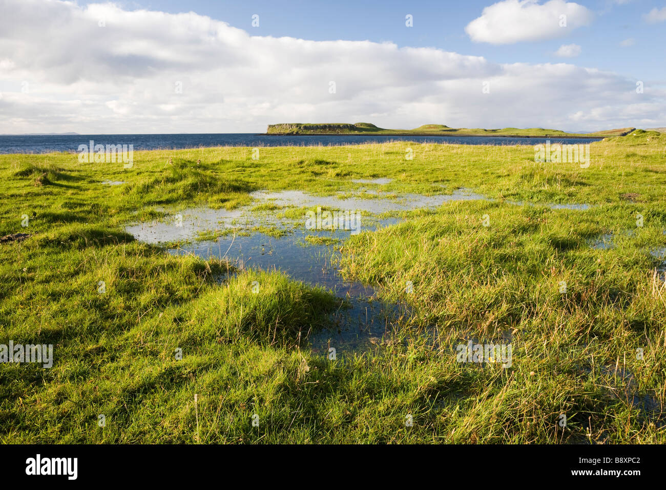 Pools of green hi-res stock photography and images - Alamy