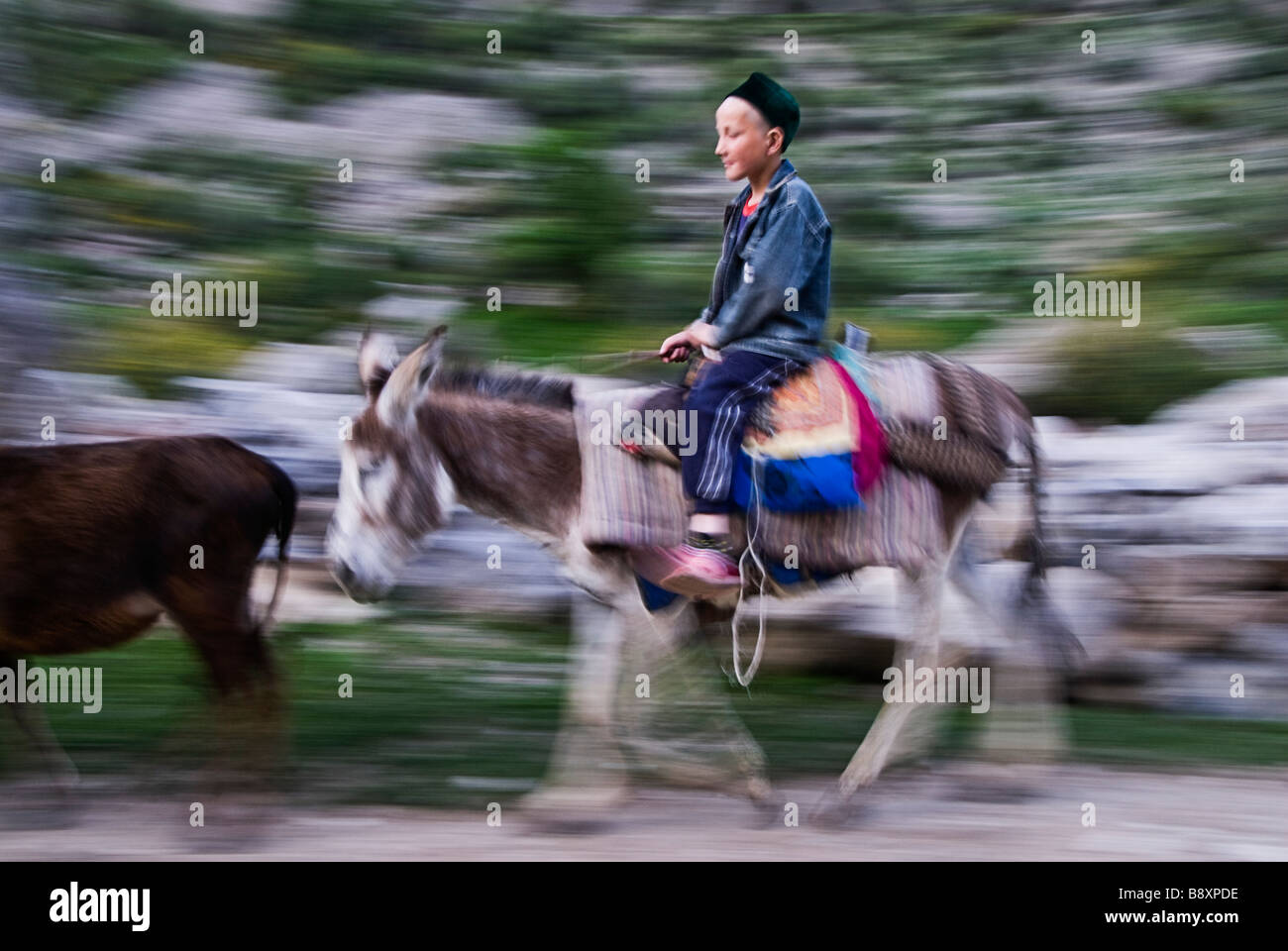 Boys at donkeys hi-res stock photography and images - Alamy