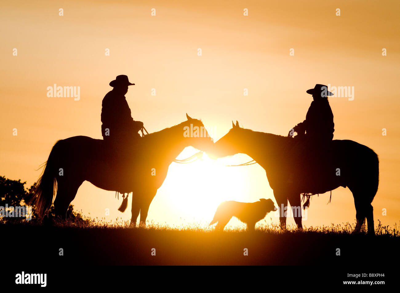Cowboy And Cowgirl Sunset Silhouette