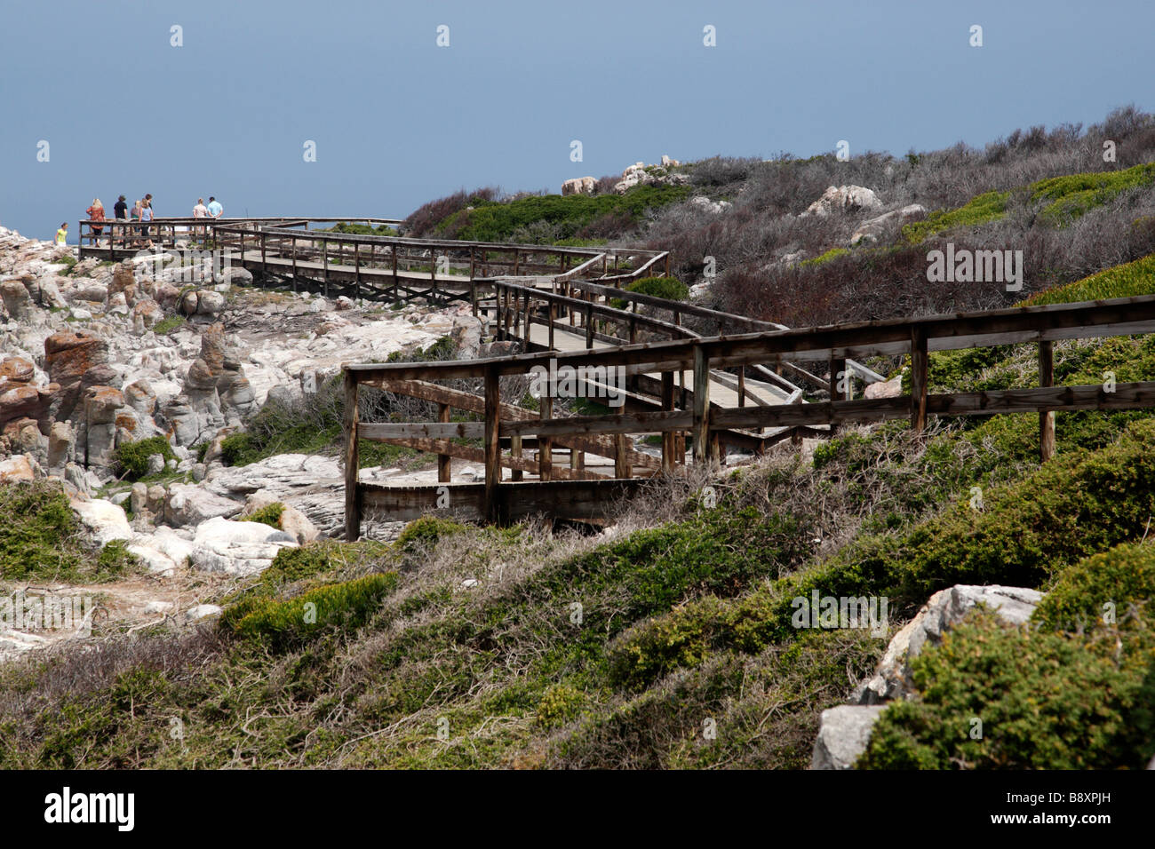 Wooden platform view point hi-res stock photography and images - Alamy