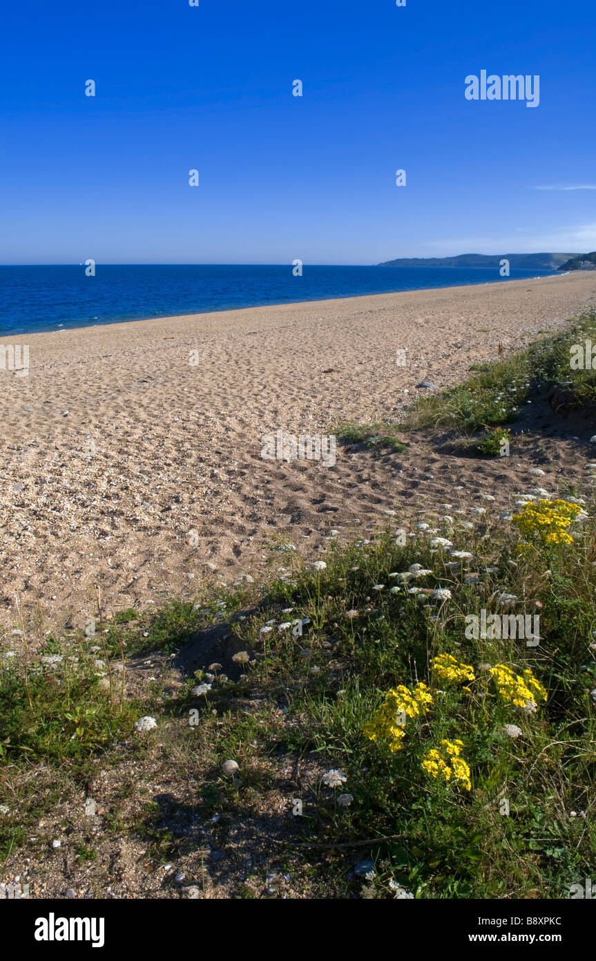 sand spit at slapton the south hams devon on the south west coast path ...