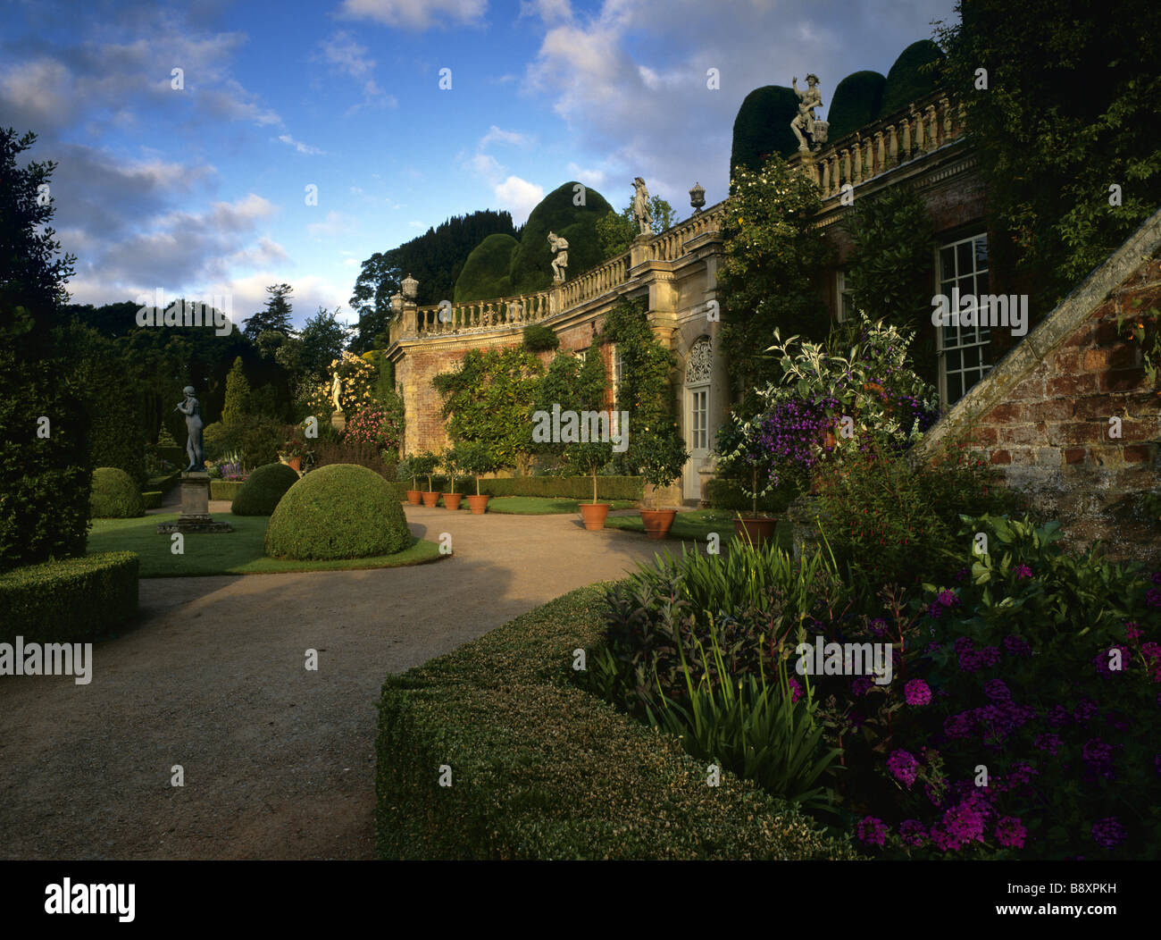 Powis castle hedge hi-res stock photography and images - Alamy