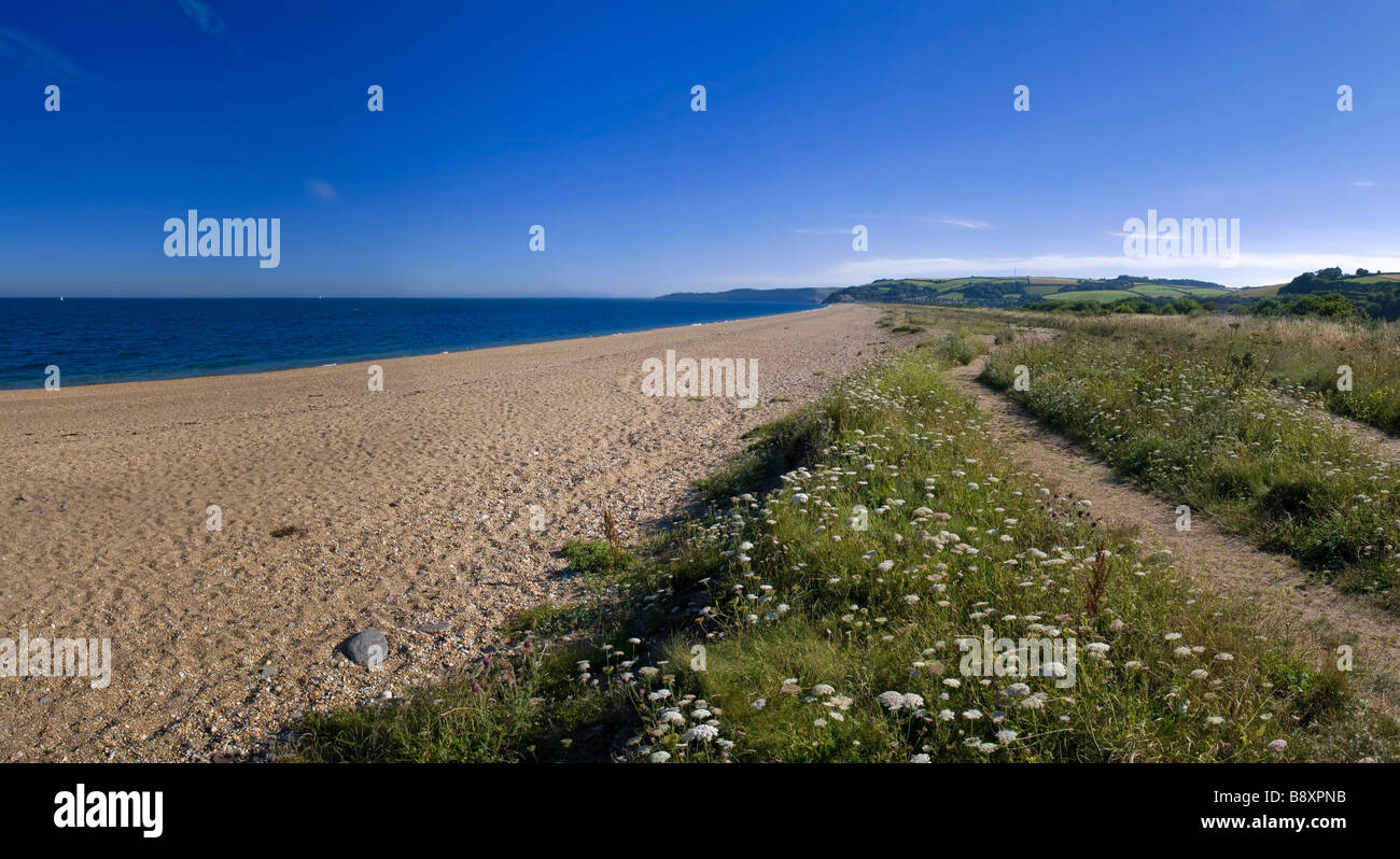 sand spit at slapton the south hams devon on the south west coast path ...