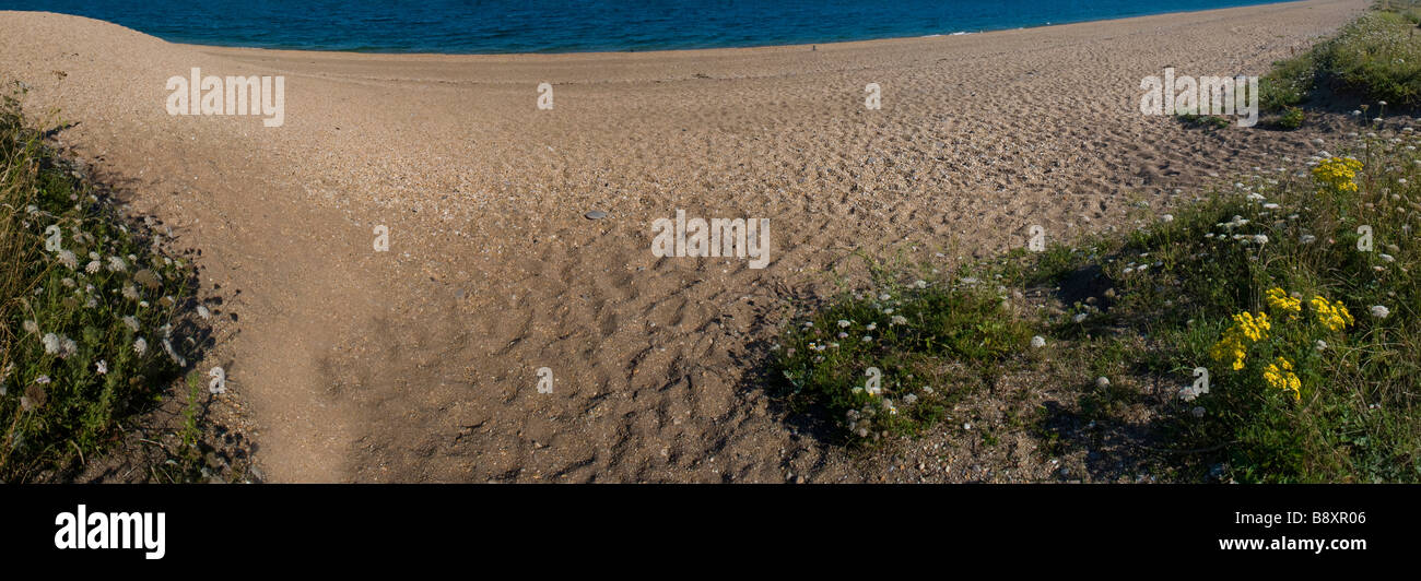 sand spit at slapton the south hams devon on the south west coast path ...