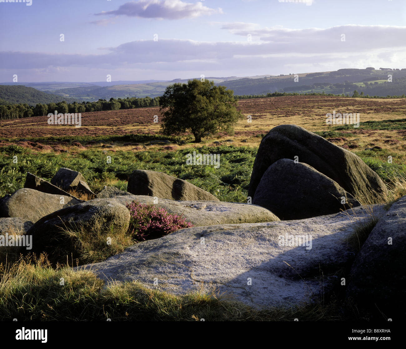 Moorland conservation peak district hi-res stock photography and images ...
