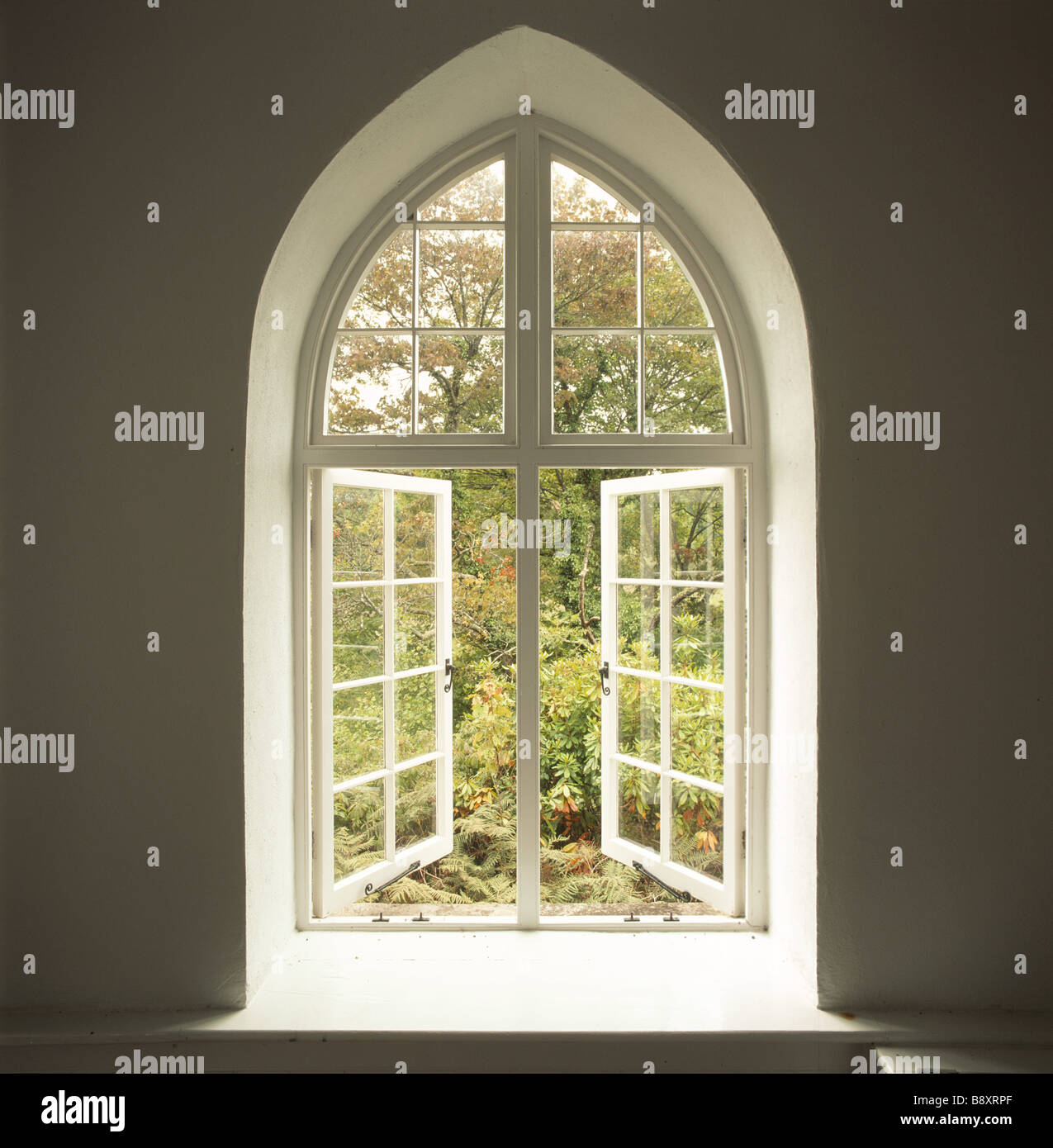 Crom Estate Stock Photos & Crom Estate Stock Images - Alamy