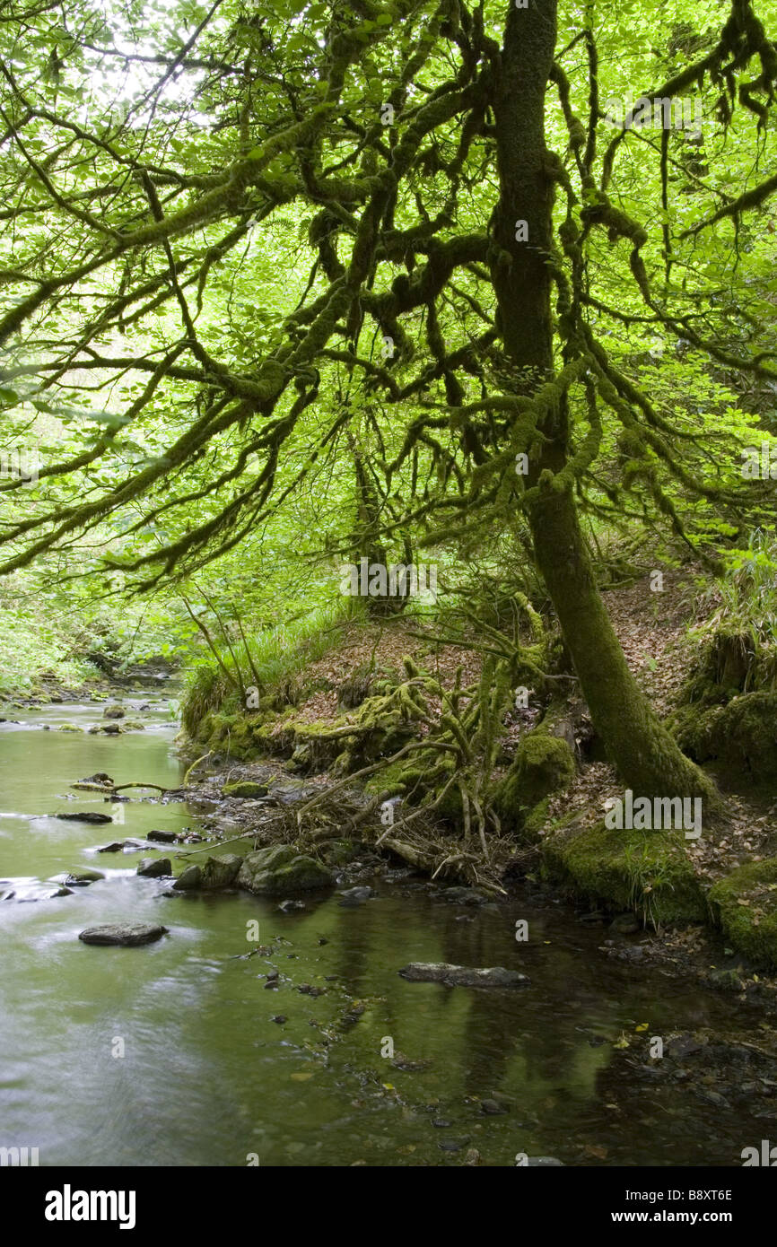 Lyd valley hi-res stock photography and images - Alamy