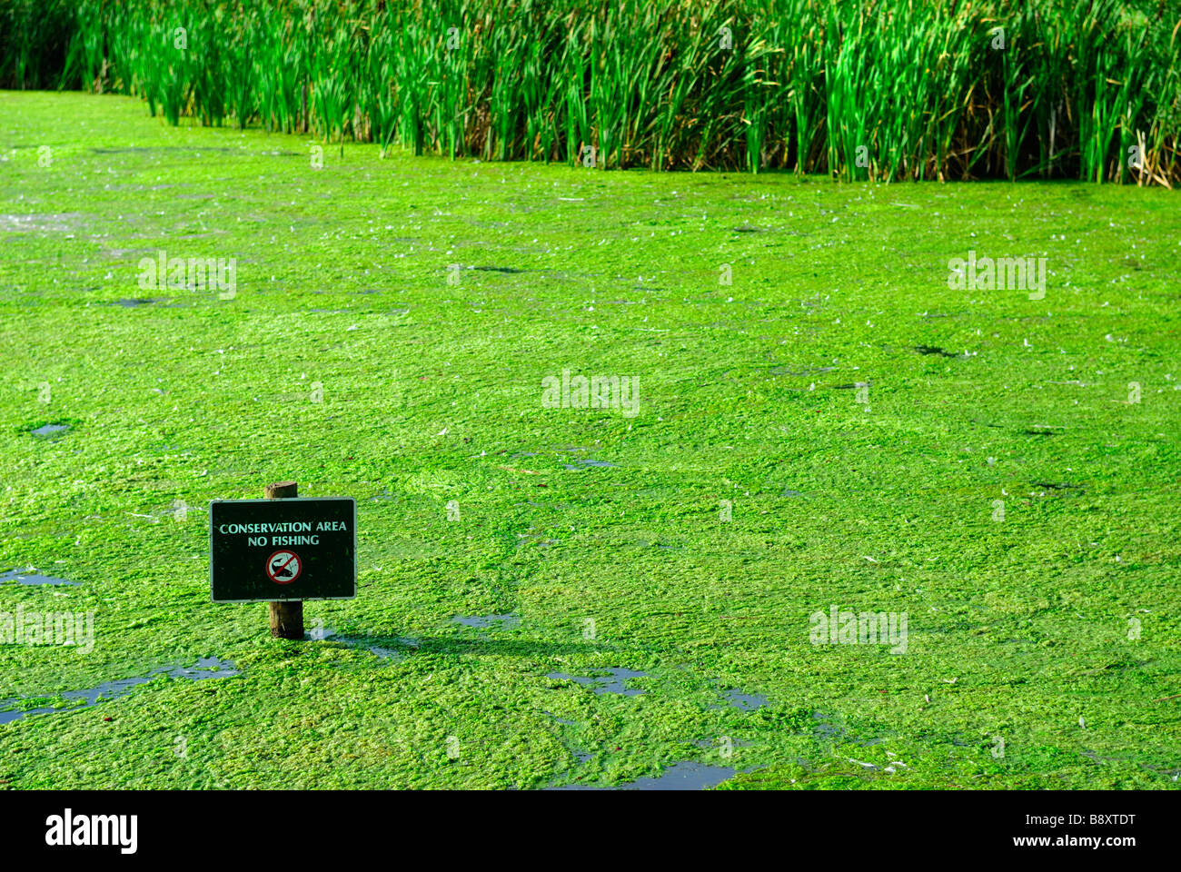 Water conservation sign hi-res stock photography and images - Alamy