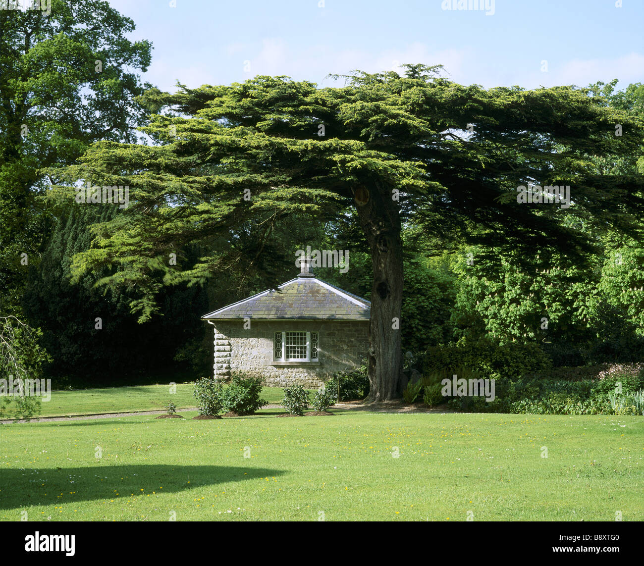 The Cedar of Lebanon tree beside a small pavilion in the Pleasure ...