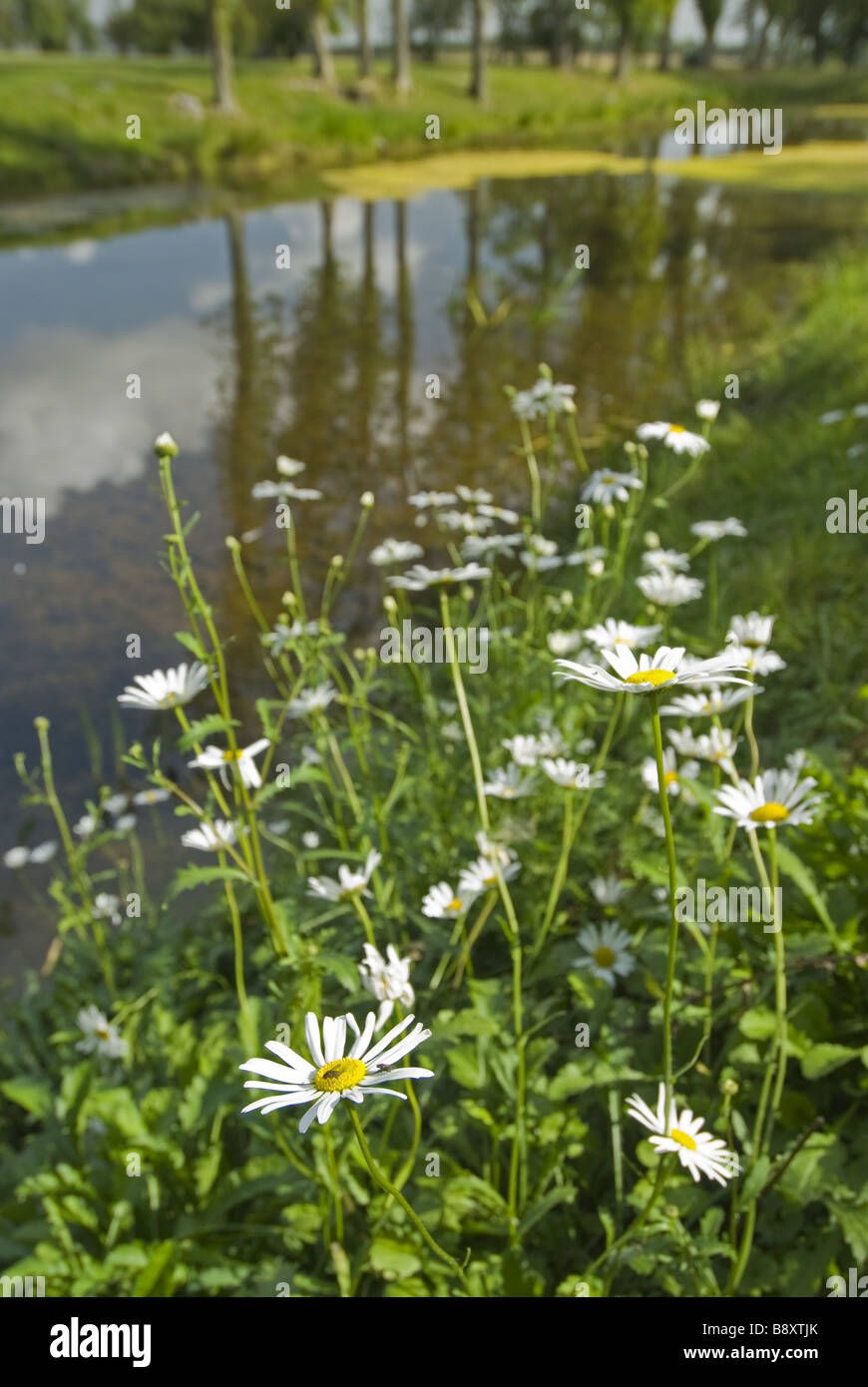 Lyveden New Bield Stock Photo - Alamy