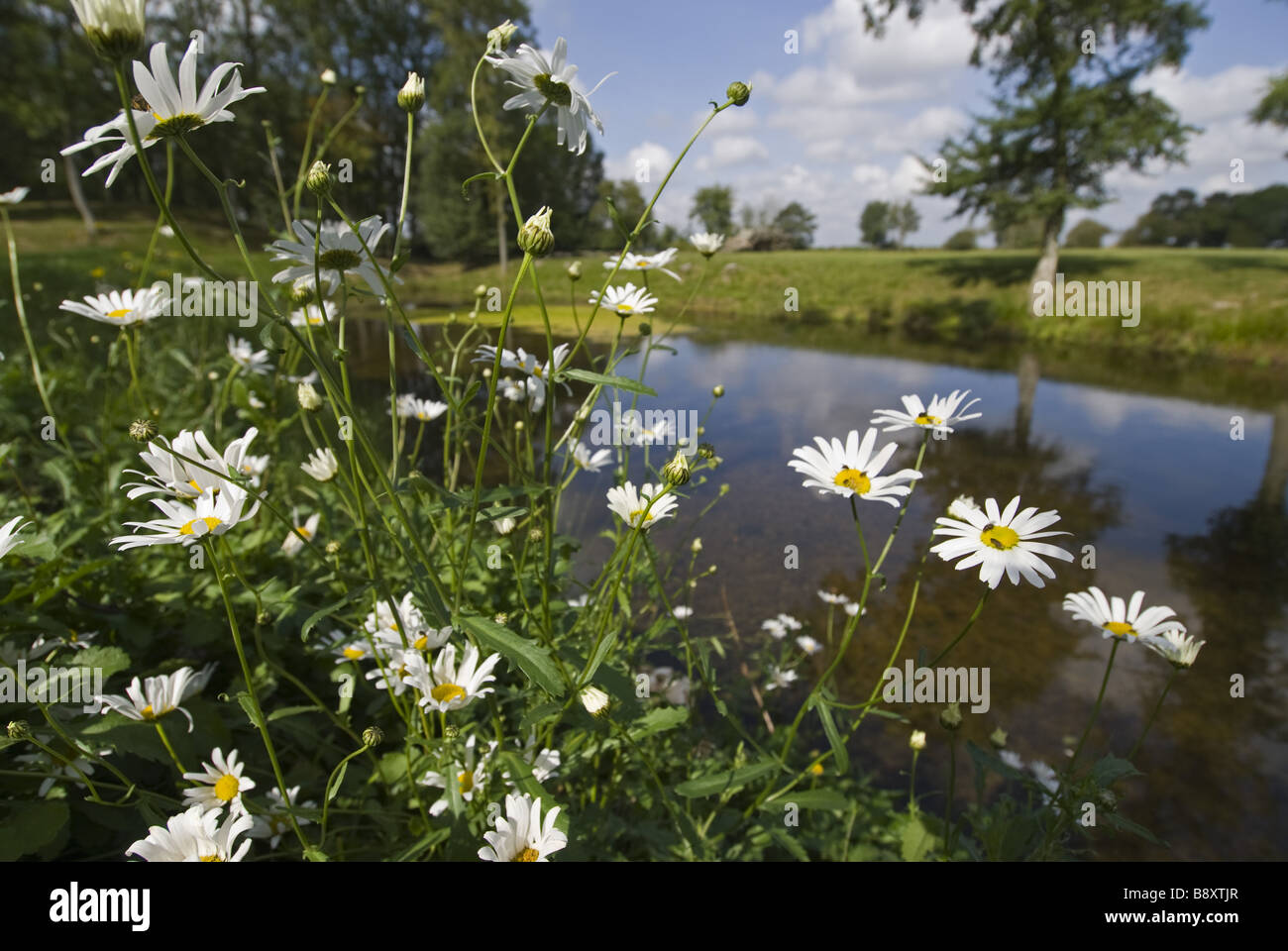 Lyveden New Bield Stock Photo - Alamy