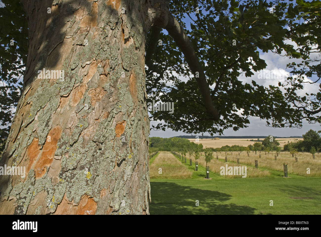 Lyveden New Bield Stock Photo - Alamy