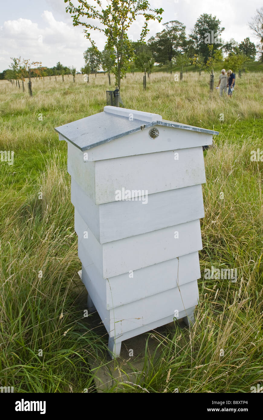 Traditional beehives in the orchard at Lyveden New Bield Peterborough ...