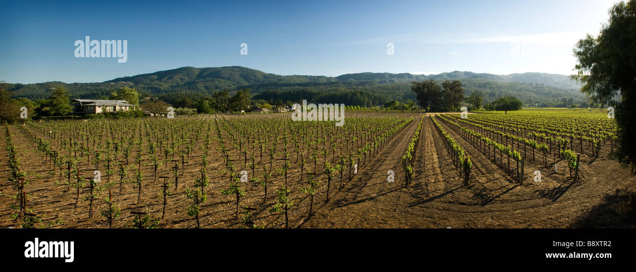 Owned by vineyard hi-res stock photography and images - Alamy