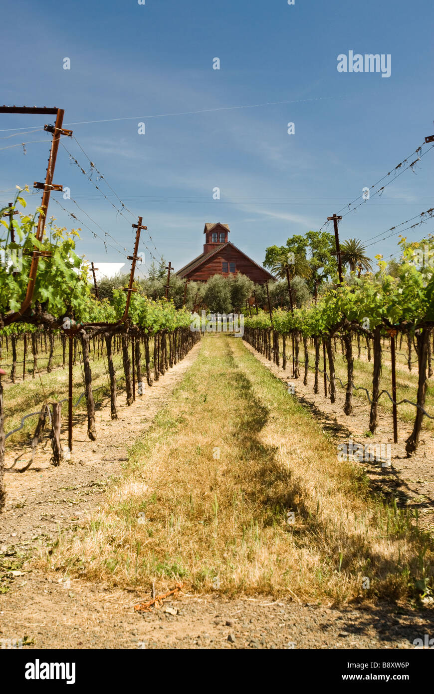 Vineyard california barn hi-res stock photography and images - Alamy