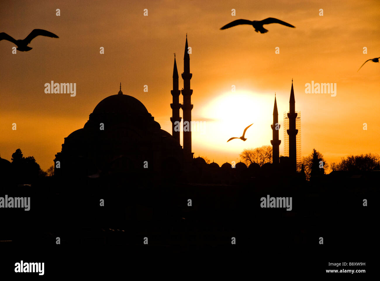 Suleiman temple hi-res stock photography and images - Alamy
