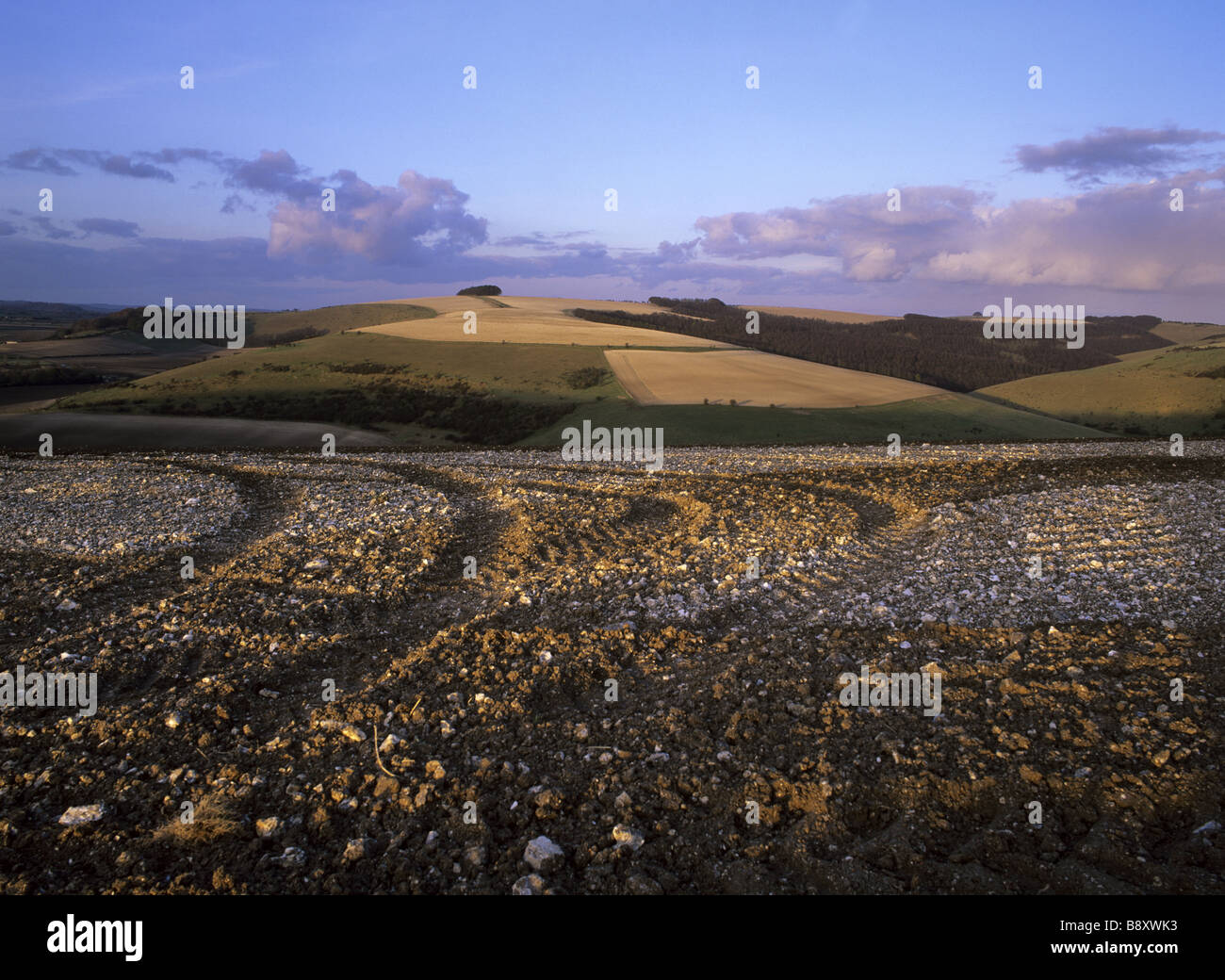 Melbury hi-res stock photography and images - Alamy