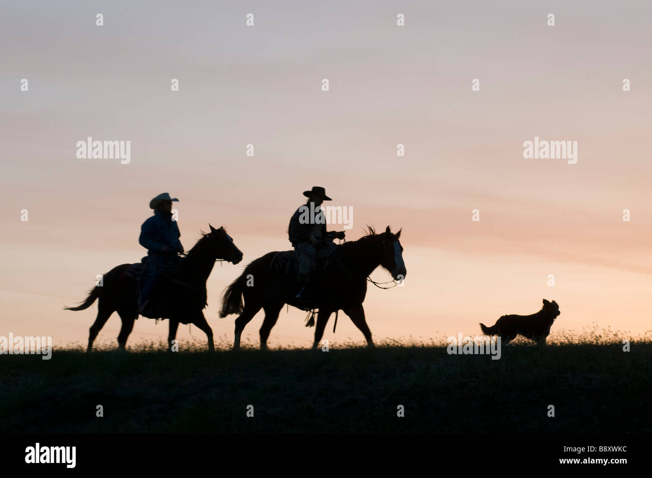 Cowboys on horses hi-res stock photography and images - Alamy