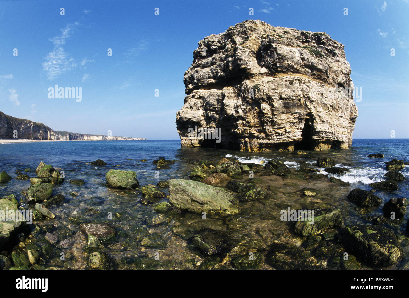 One of the stack land formations at Marsden Rock Stock Photo - Alamy