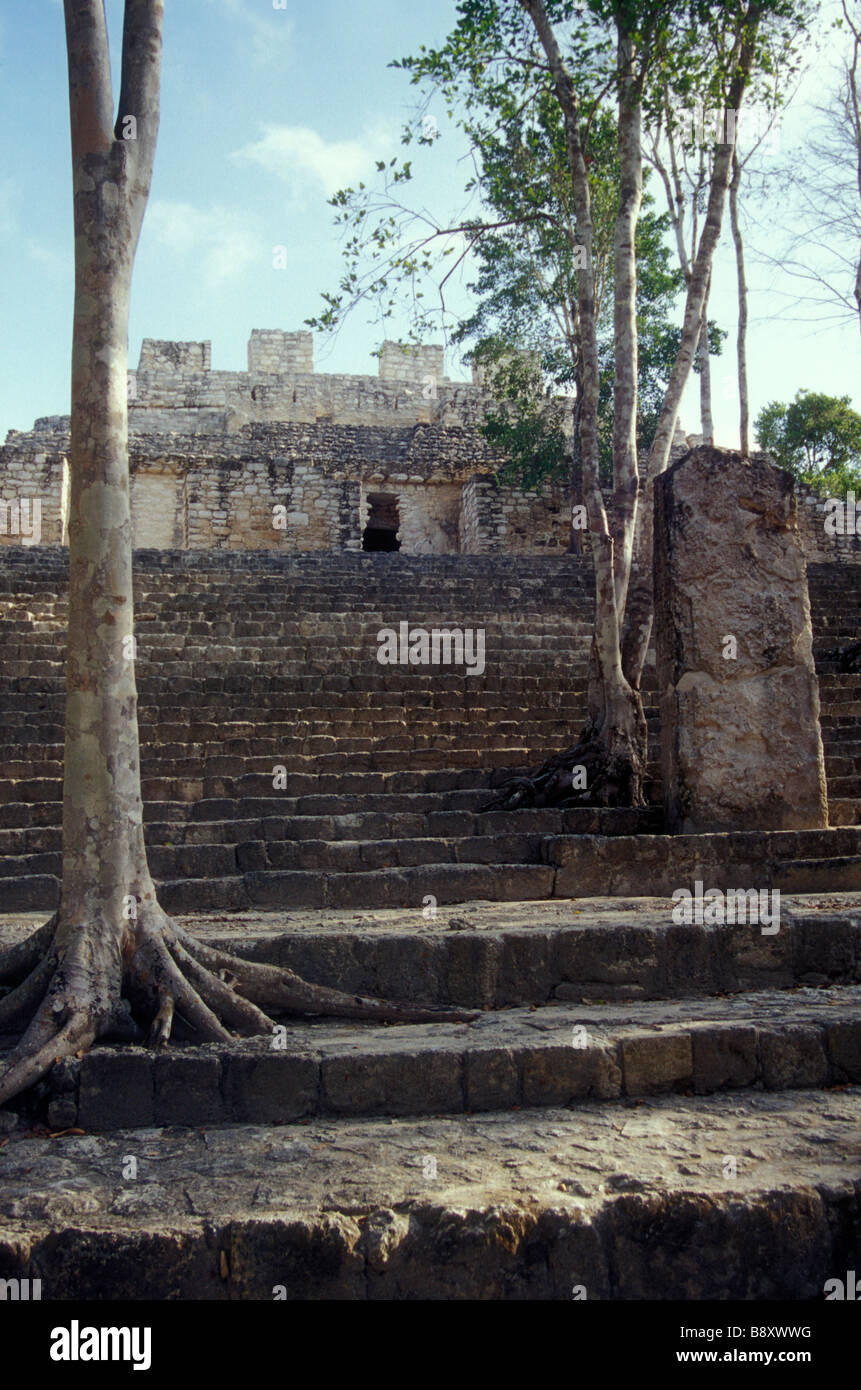 Structure VIII at the Mayan ruins of Calakmul, Campeche, Mexico Stock ...