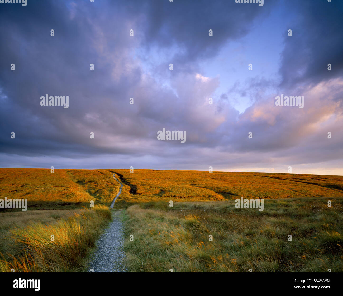 Treeless moors hi-res stock photography and images - Alamy