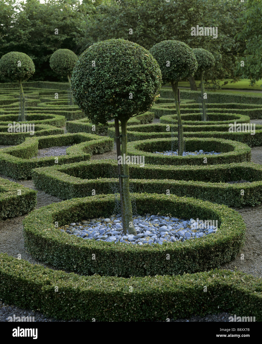 Box trees hi-res stock photography and images - Alamy