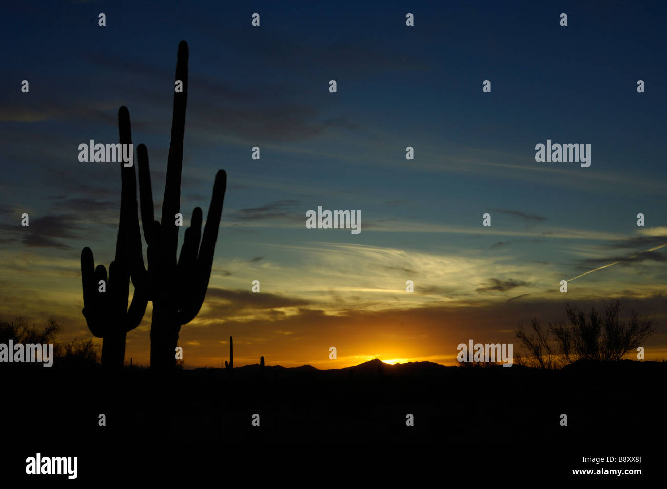 Color of the desert hi-res stock photography and images - Alamy