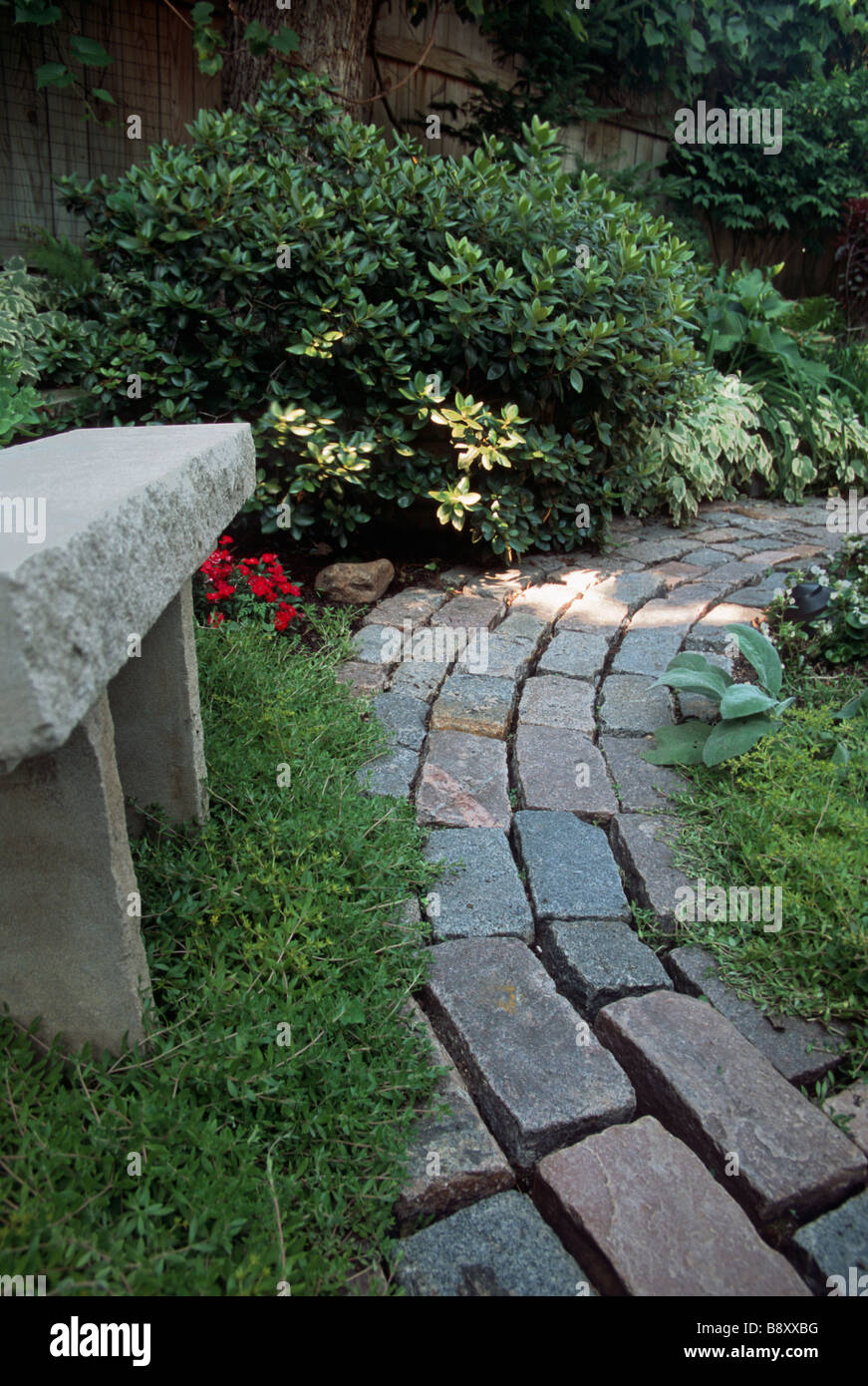 Compact limestone hi-res stock photography and images - Alamy