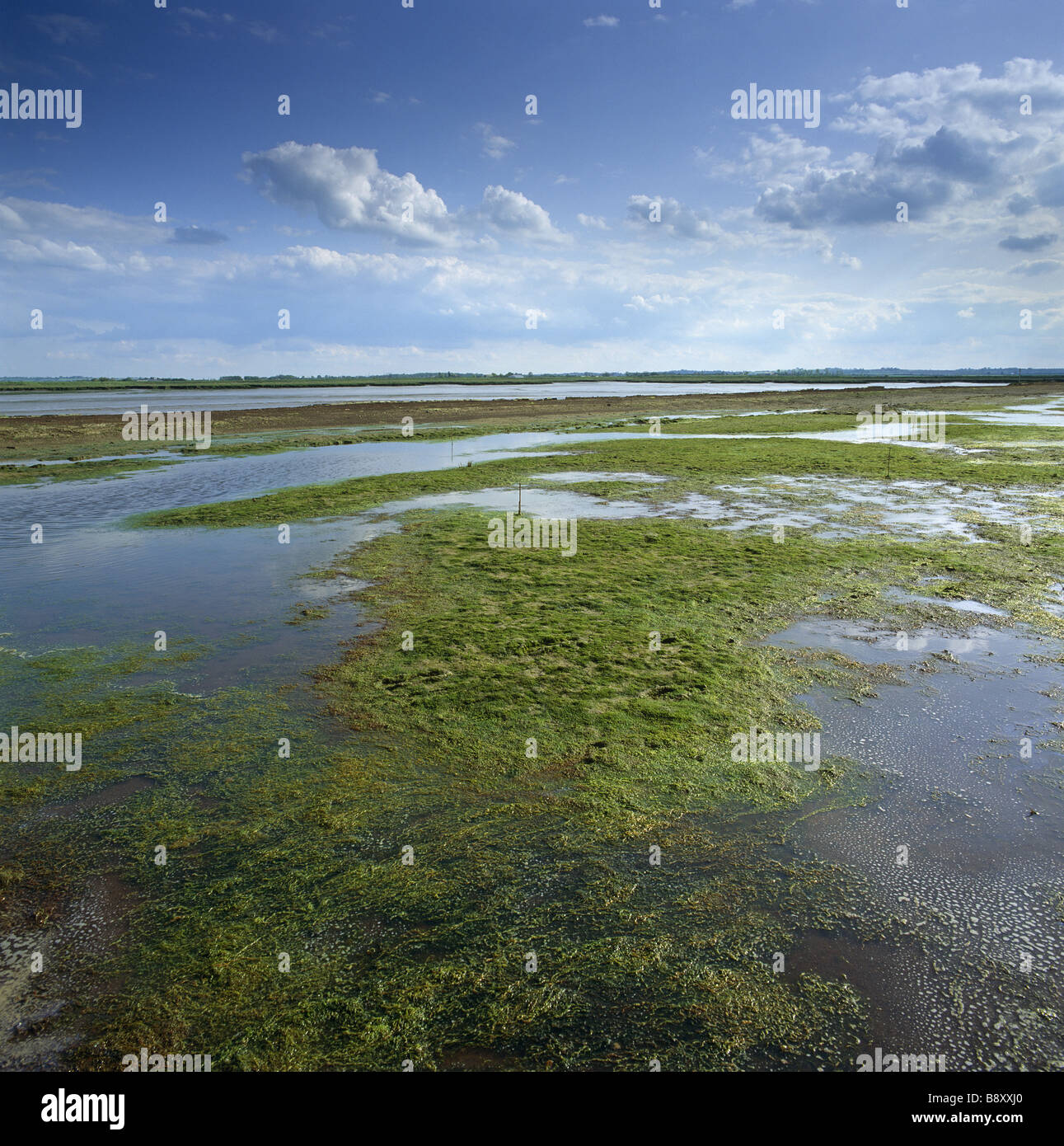 Area of managed retreat hi-res stock photography and images - Alamy