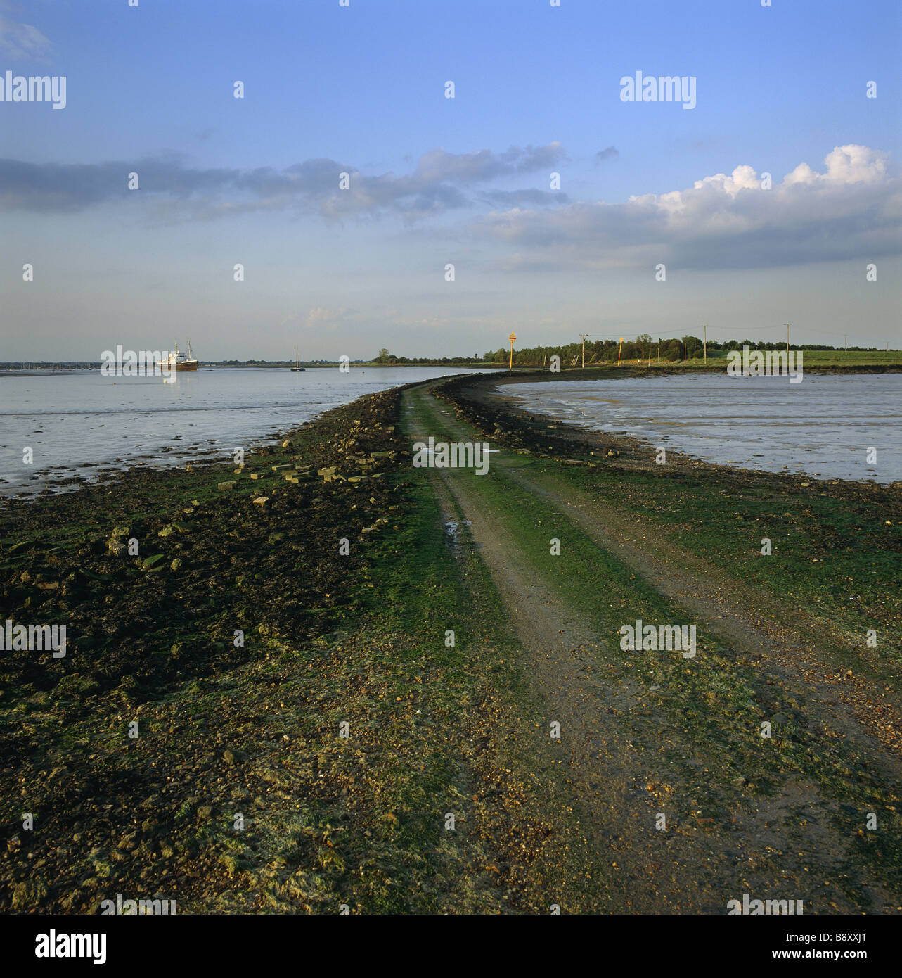 Northey island hi-res stock photography and images - Alamy