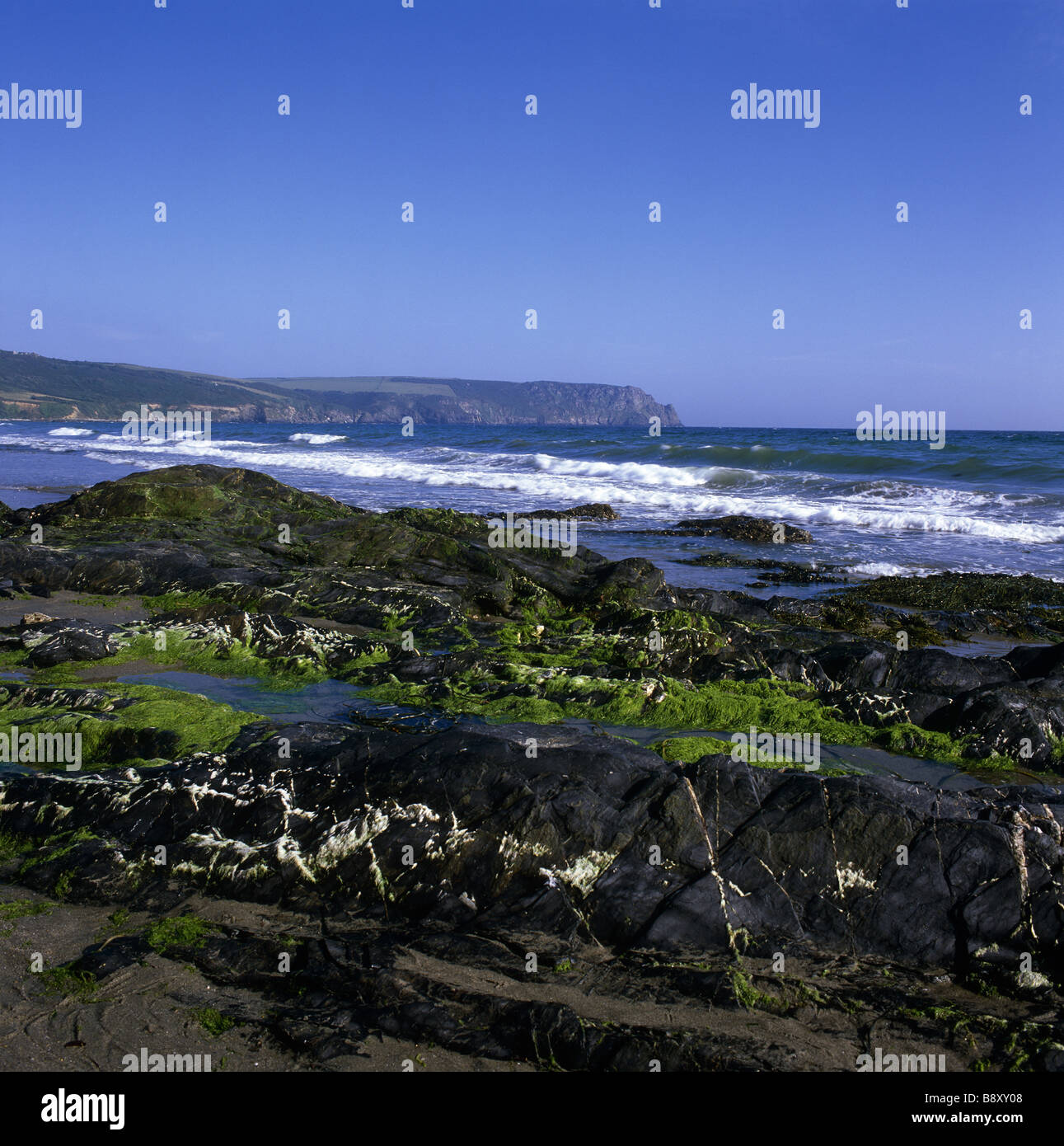 Pendower beach cornwall hi-res stock photography and images - Alamy