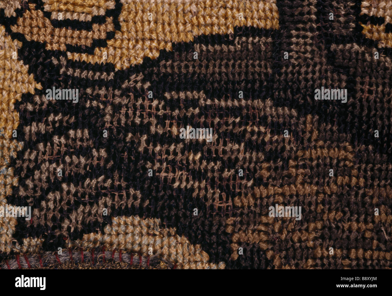 Hind quarters hi-res stock photography and images - Alamy