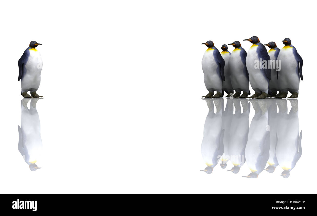One penguin with a group of penguins Stock Photo - Alamy