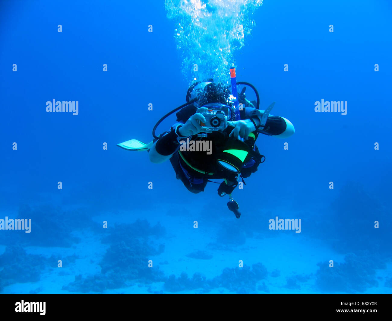 diver in deep with camera underwater photographer Stock Photo - Alamy