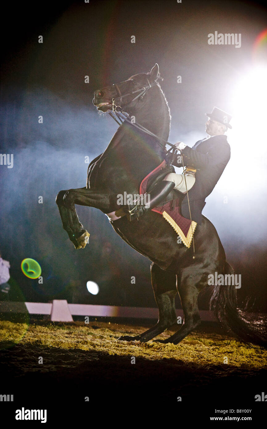 Circus rider hi-res stock photography and images - Alamy
